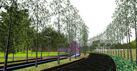 Walk | RhinoLands Help